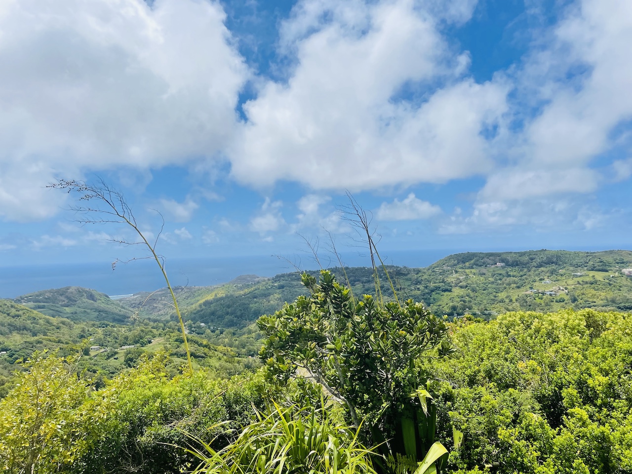 Mont Limon En | Discovery Rodrigues